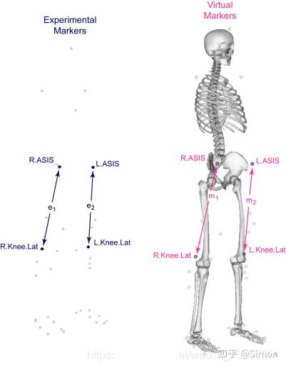 OpenSim基础教程（4）：Scale Model - 知乎