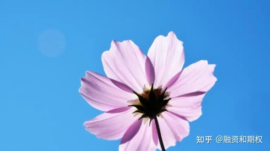 QMT和Ptrade有什么区别？该如何选择？ - 知乎