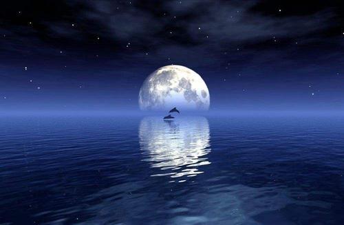 Outerplanar Graphs - 知乎