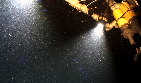 What is marine snow?什么是海洋雪？ - 知乎