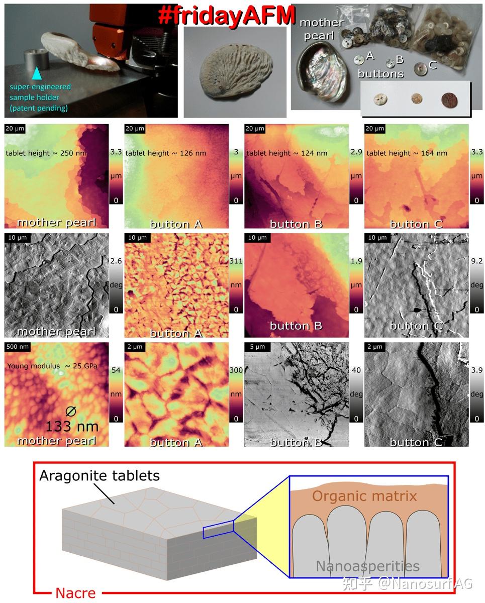 FridayAFM - 尝试使用AFM鉴定珍珠 - 知乎