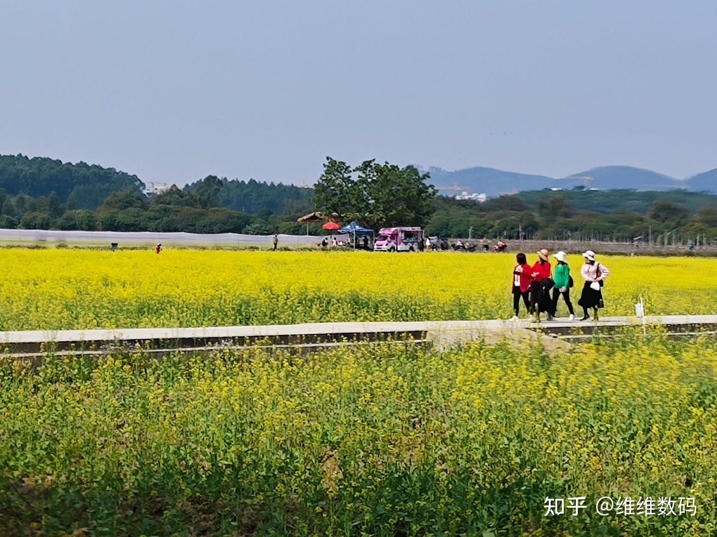 多图慎入！小米11ultra原生相机VS谷歌相机 - 知乎