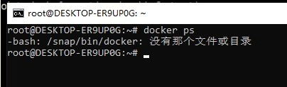 -bash: /snap/bin/docker: 没有那个文件或目录 - 知乎