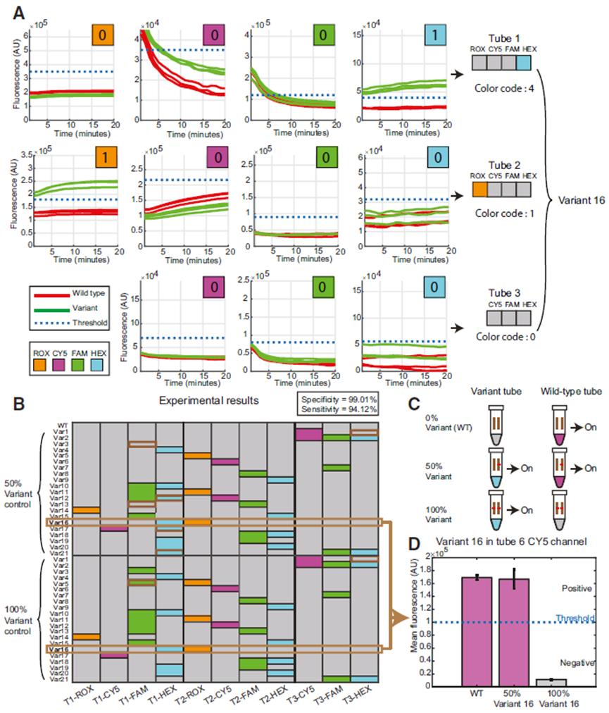 “阅”技术 | Color-Mix 策略大幅提高 qPCR 检测技术的通量 - 知乎