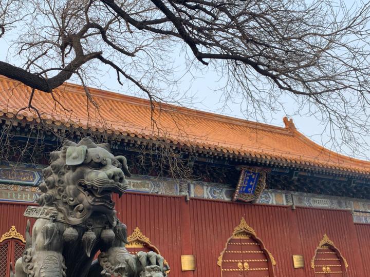 安装支持quic HTTP/3的nginx以及curl - 知乎