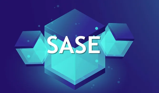 SASE行业研究报告 - 知乎