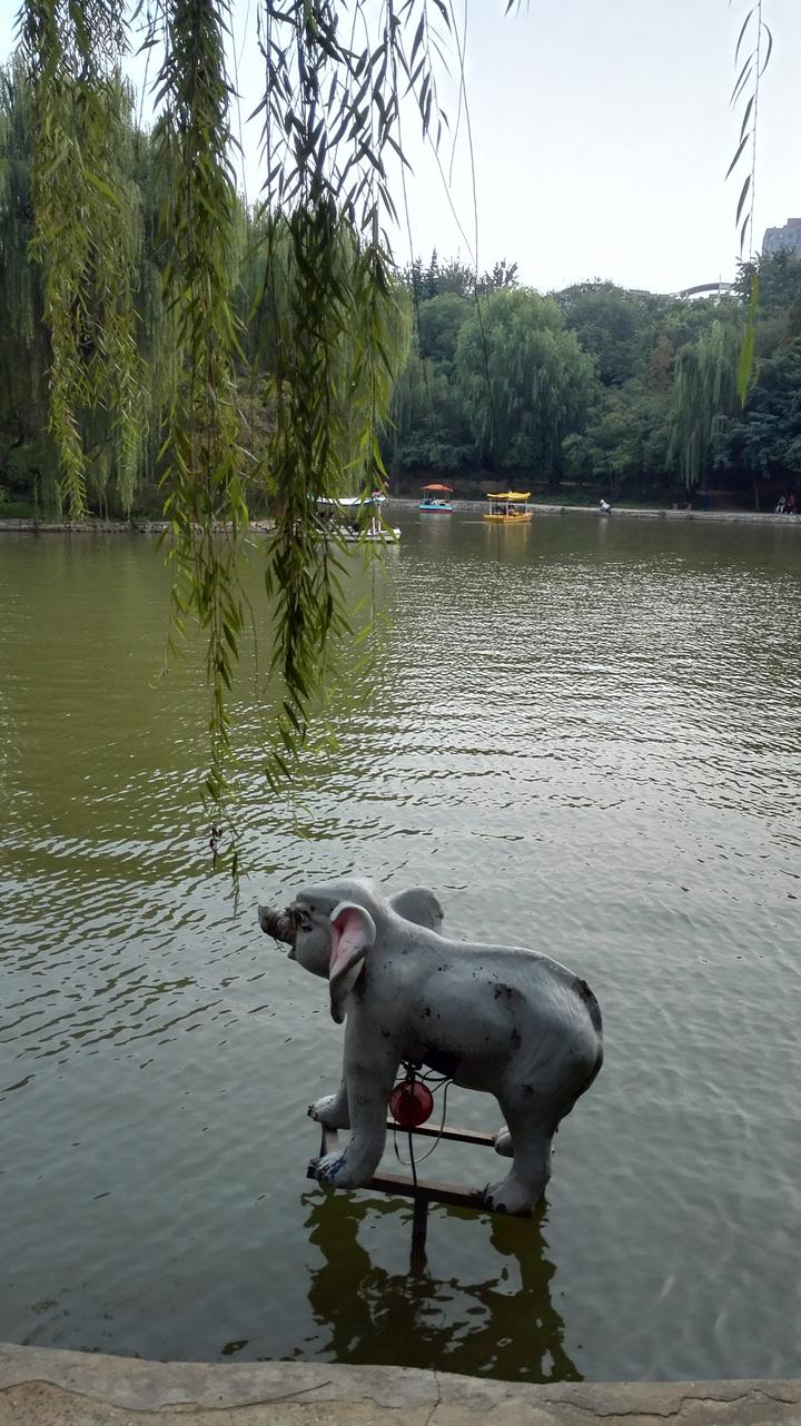 Excel-VBA应用（19）：演示如何利用宏，在PPT中调取EXCEL中的题库 - 知乎