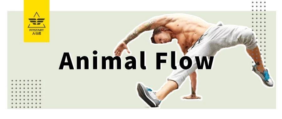 风靡全球的“Animal Flow”，有趣还管用！ - 知乎