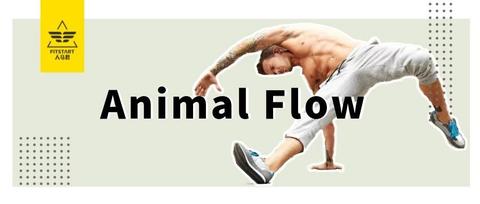 风靡全球的“Animal Flow”，有趣还管用！ - 知乎
