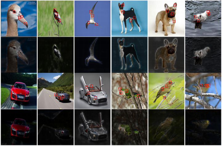 首个将 vision transformer 应用在细粒度视觉分类的模型 TransFG，性能优于 SOTA - 知乎