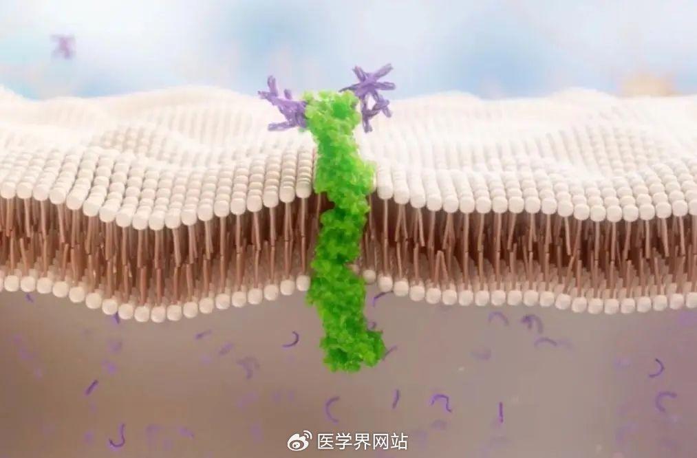 或是诺奖级发现！中国医生破解帕金森病世纪难题 - 知乎