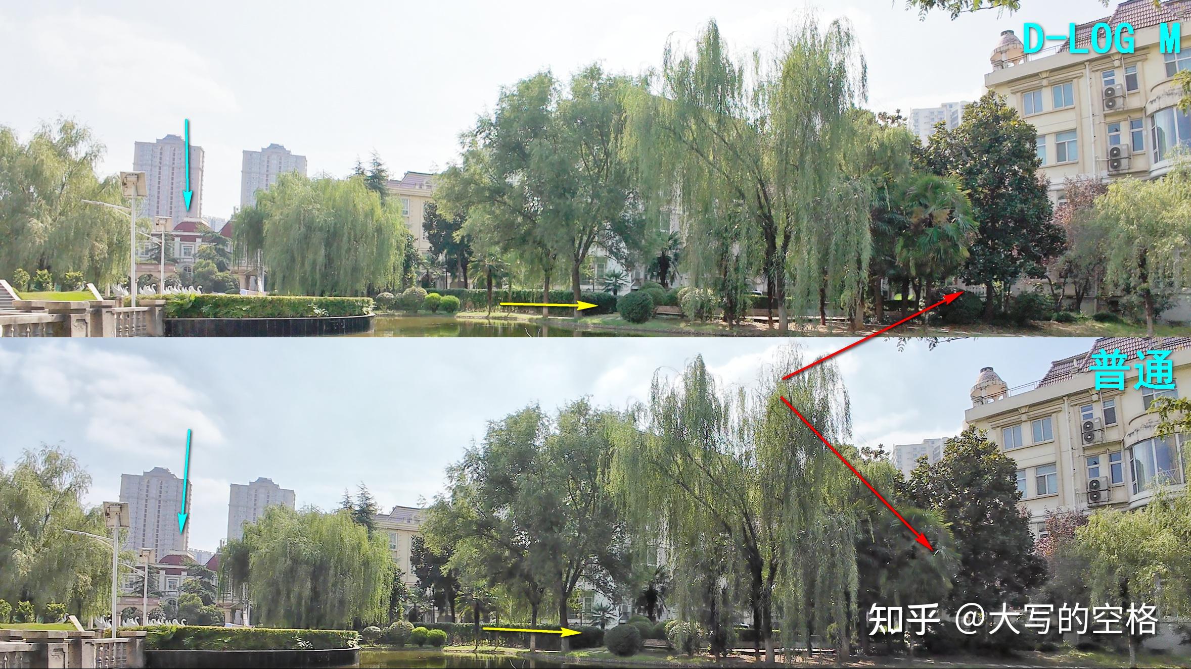 D-log色彩究竟好在哪？大疆Action4运动相机深度测评 - 知乎