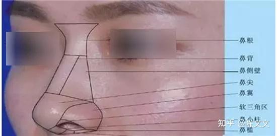 网上卖的那种缩鼻翼，提鼻梁的鼻夹真的管用吗？ - 知乎