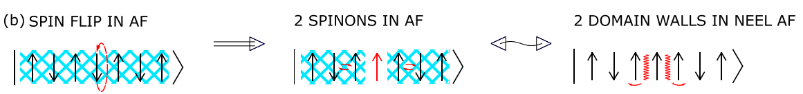 一维反铁磁自旋模型的自旋子到底是个啥？---Nature of Spinons in 1D Spin Chains - 知乎