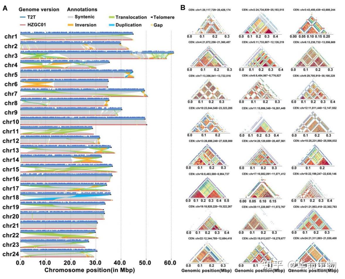 GigaScience项目文章丨首个草鱼T2T基因组发布 - 知乎