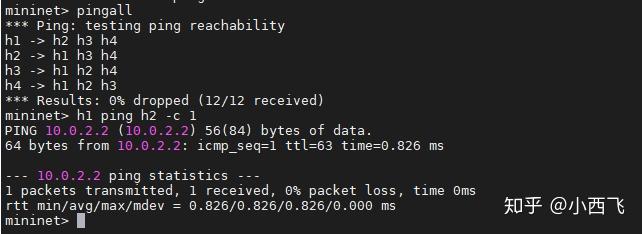 P4 tutorials 实例分析—basic - 知乎