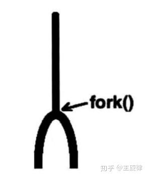 十九. fork的原理及实现 - 知乎