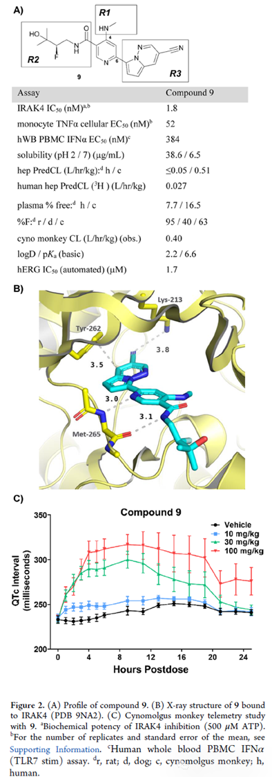 药渡Cyber解析一种强效IRAK4选择性抑制剂Edecesertib（GS-5718）的发现 - 知乎