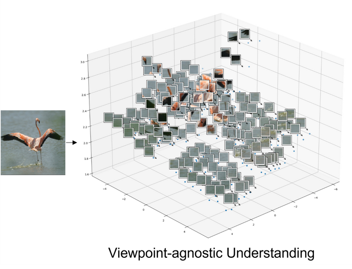 [NeurIPS 2022] Learning Viewpoint-Agnostic Visual Representations by ...