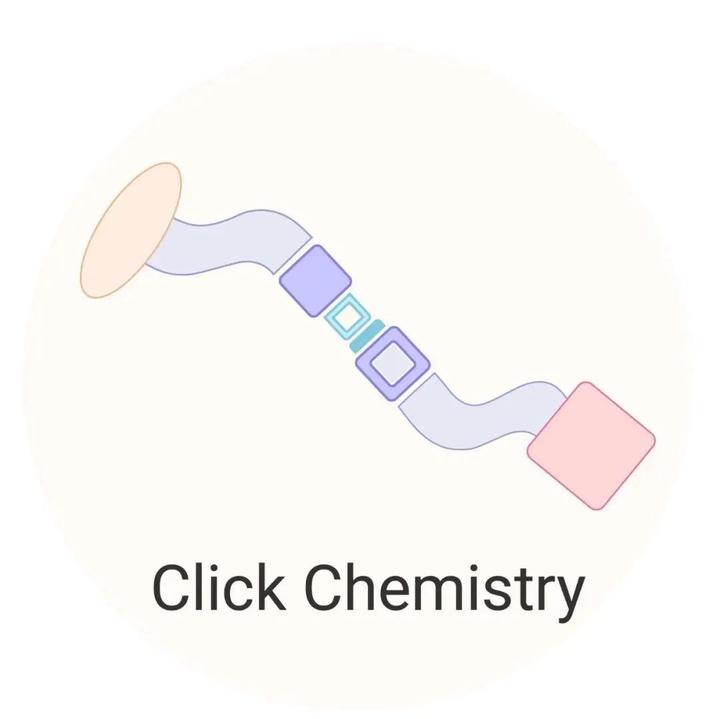 靶向治疗！获诺奖的 “点击化学” 原来可以这么用 - MedChemExpress - 知乎