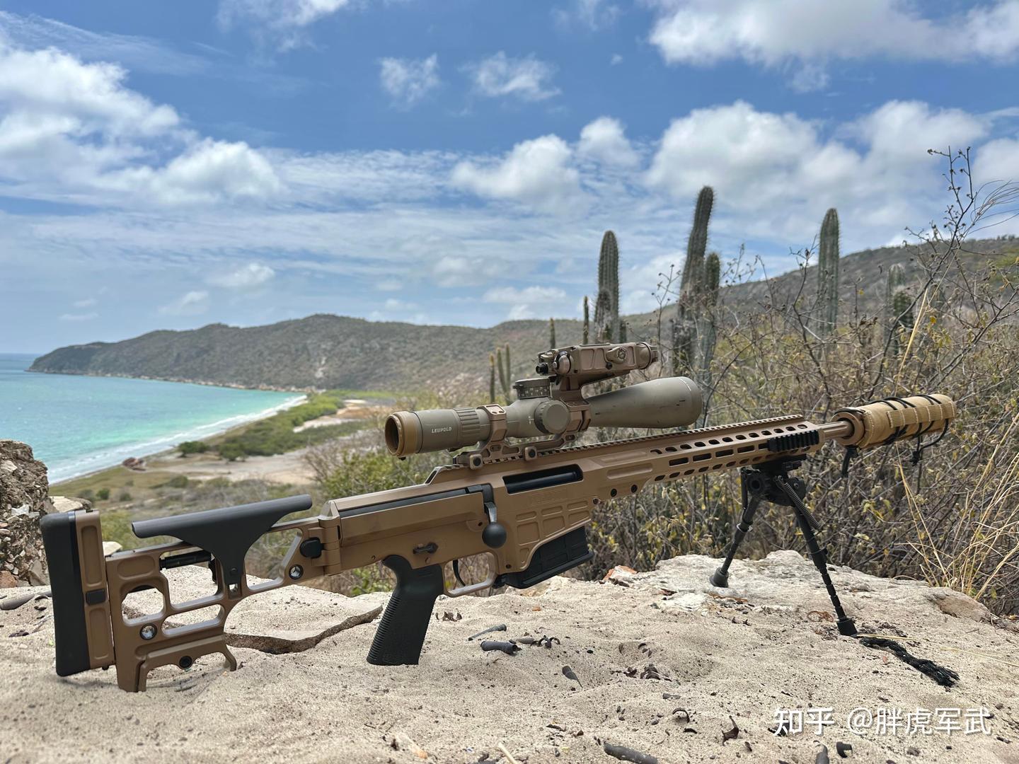 2024年7支最佳.300 Win Mag 步枪 - 知乎