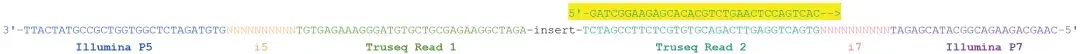 一文搞懂 Illumina 接头序列 - 知乎