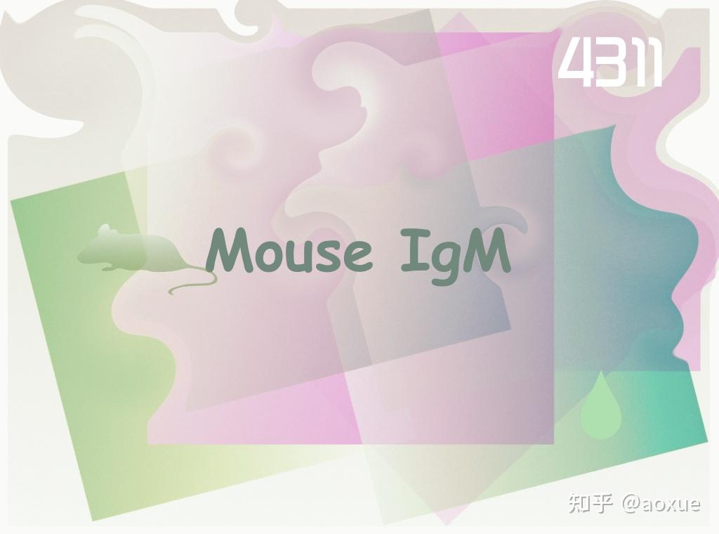 Mouse IgM产品说明书 - 知乎