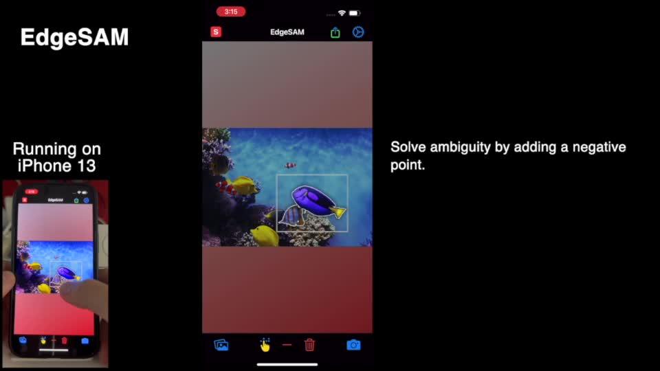 EdgeSAM：可在iPhone上实时运行的SAM - 知乎