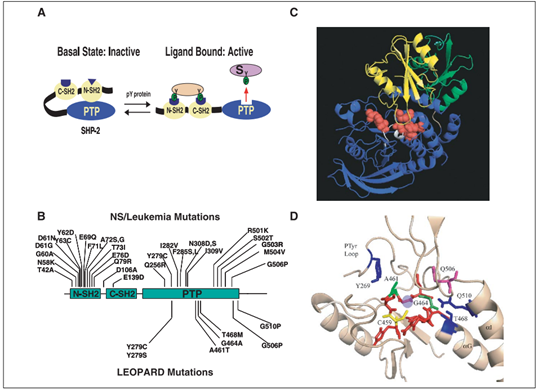 基因与疾病相关性 | 疾病的合并与拆分实践（PTPN11） - 知乎