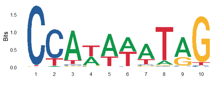 基因家族分析（4）motif 预测 - 知乎
