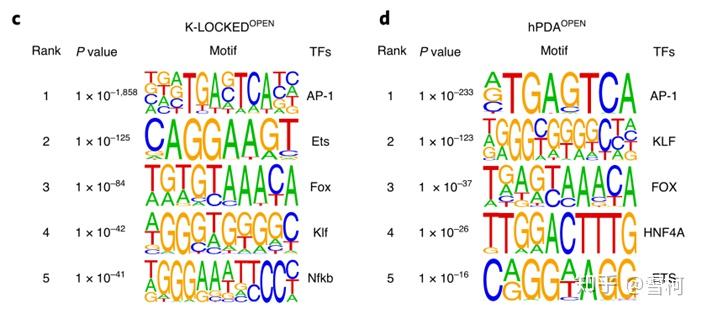 什么是「ATAC-seq 技术」？现在用于哪些生物学研究？ - 知乎