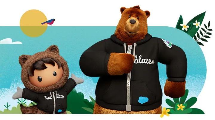 一文搞懂Salesforce角色、简档和权限集 - 知乎