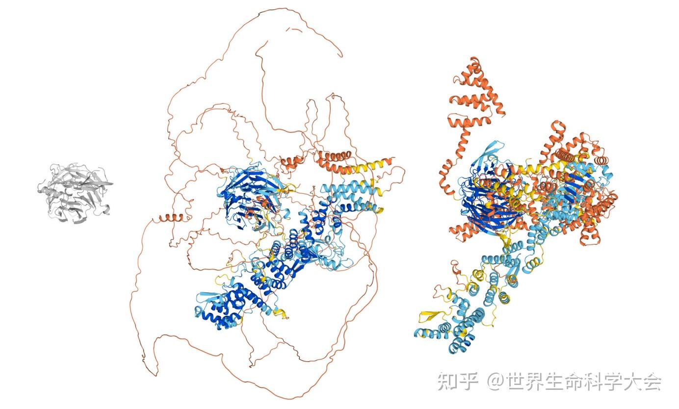 Nature | Alphafold 3.0：AI 蛋白质预测器的升级 - 知乎