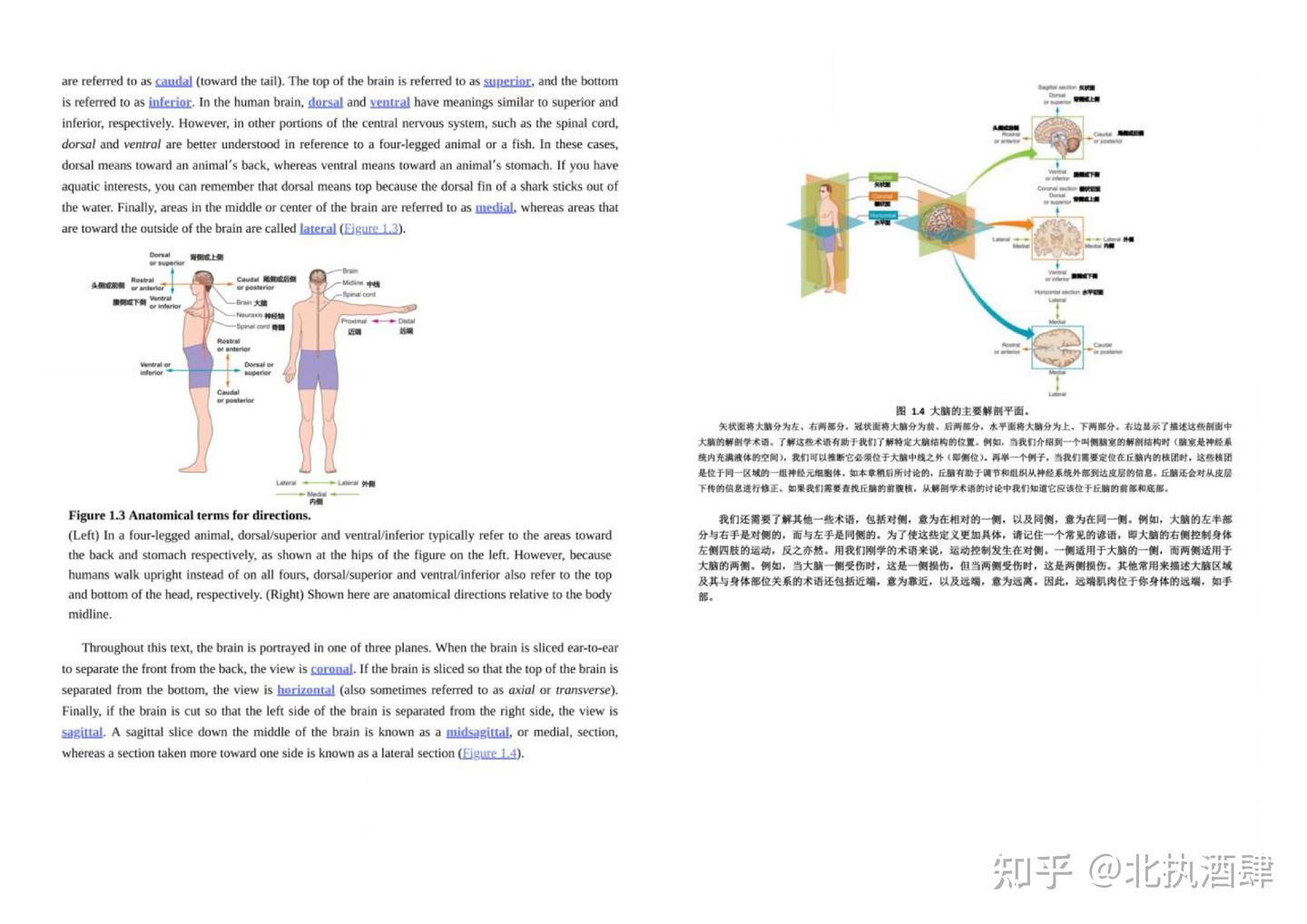 Cognitive Neuroscience（Fourth Edition）（3） - 知乎