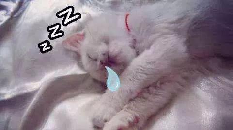 英语冷知识：为什么睡眠要用“ZZZ”表示？原来如此啊！ - 知乎