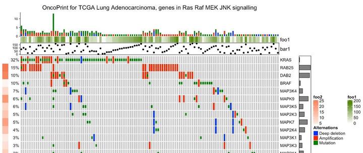 ComplexHeatmap 绘制全基因组突变景观图 - 知乎