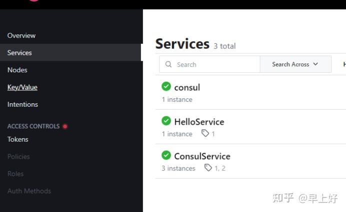 .net core +ocelot+ consul 服务治理 - 知乎
