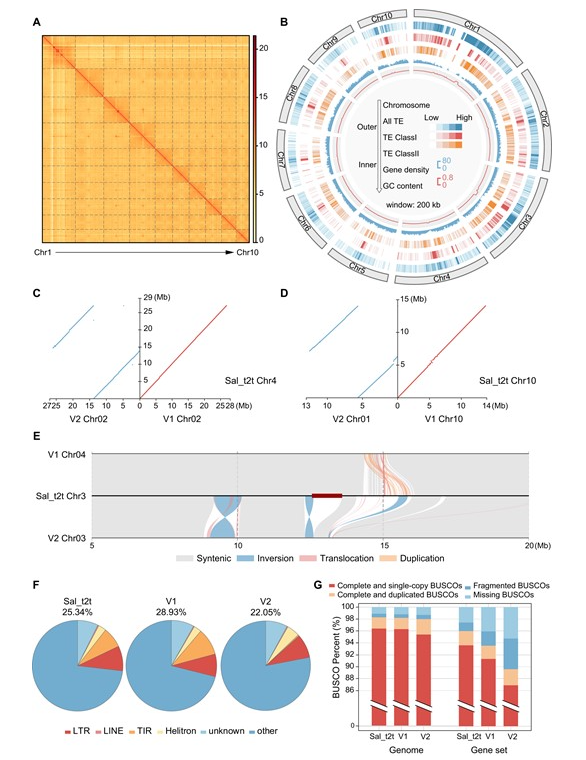 GigaScience | 首个檀香T2T参考基因组发布！ - 知乎