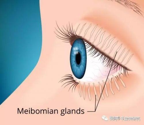 裂隙灯的检查流程和常见眼部问题总结 - 知乎