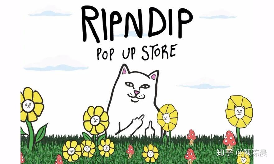 调戏Supreme的贱贱白猫RIPNDIP - 知乎