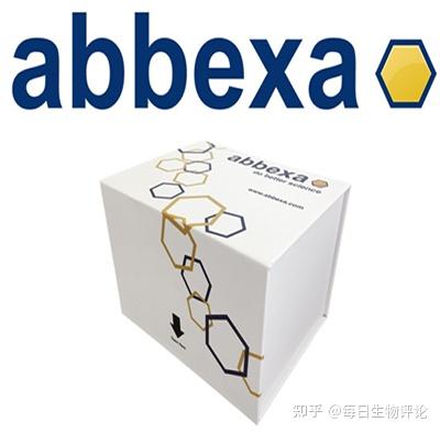 Abbexa丨艾美捷代理DB3.1 化学感受态细胞，高效转化能力 - 知乎