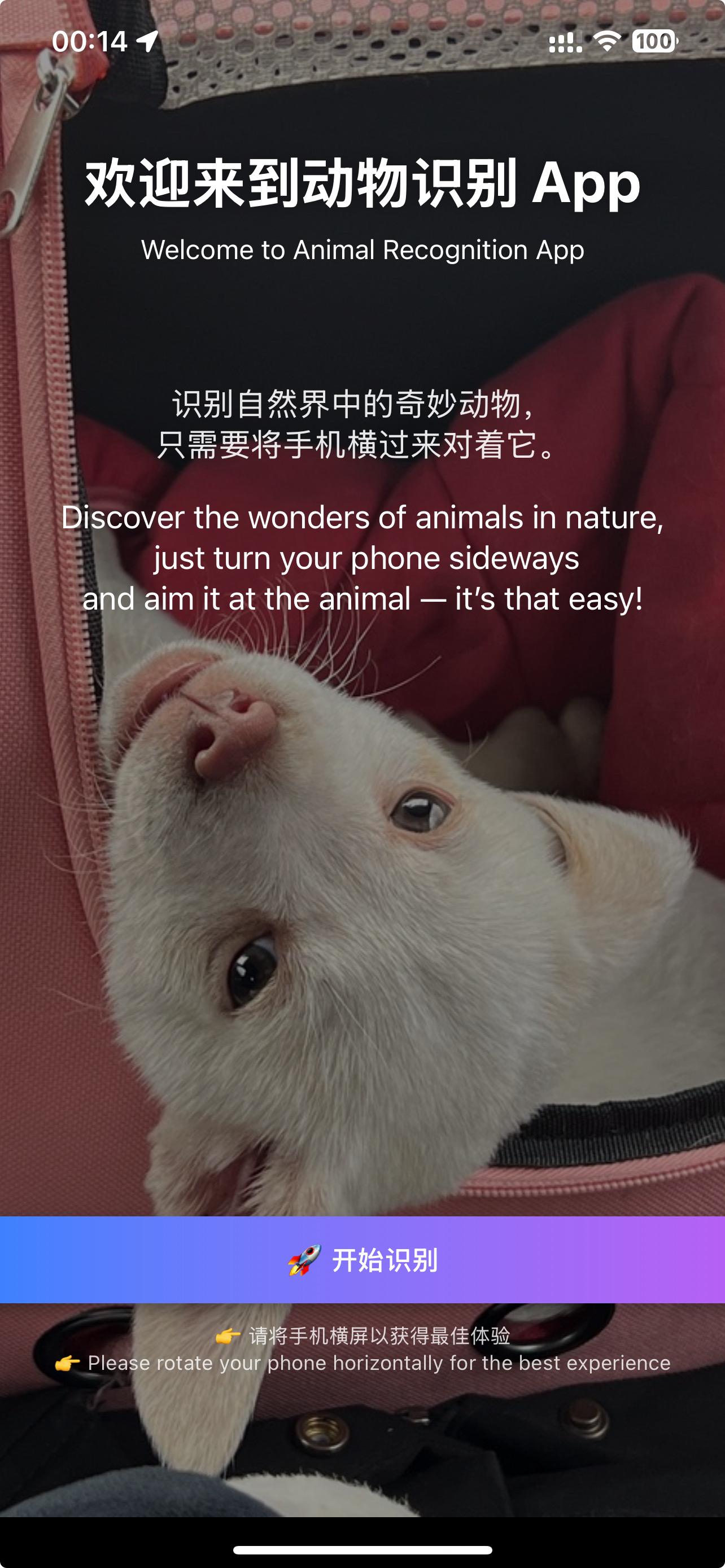 Swift Swiftui原生ios开发 开发笔记4（100最终） 识别结果信息详情 页面美化 总结 知乎