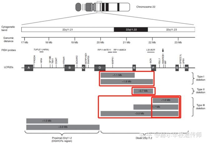 22q11.2区域缺失/重复综合征疾病介绍及应对策略 - 知乎