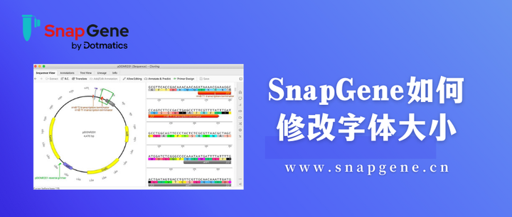 SnapGene 如何修改字体大小 - 知乎
