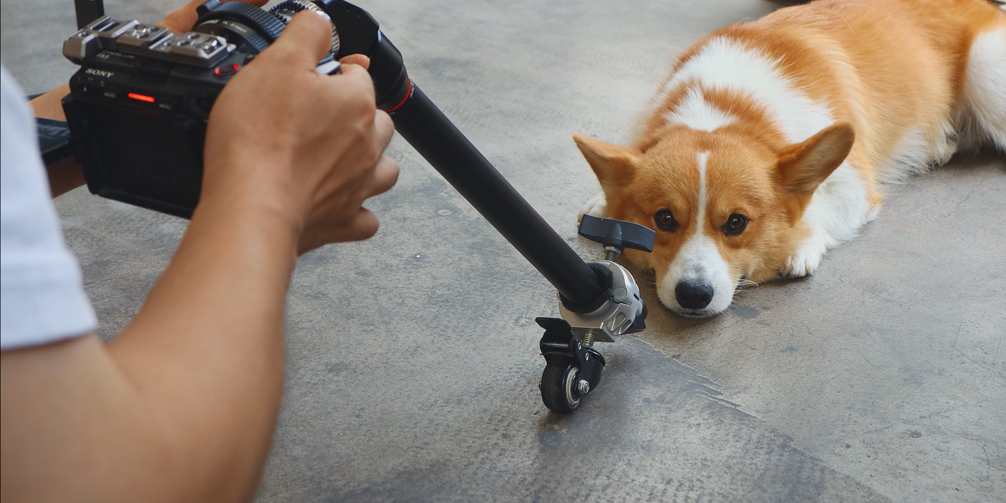 老蛙推出第三代探针镜头24mm T8 MACRO Pro2Be - 知乎