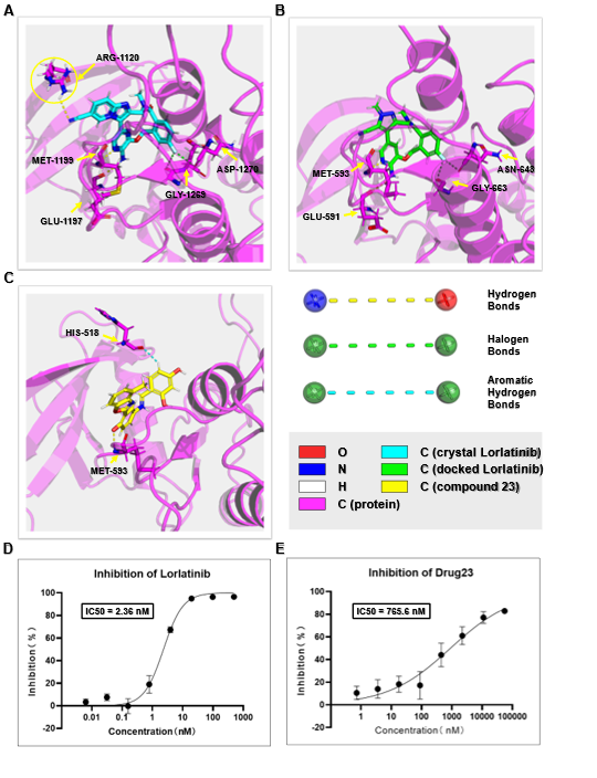 Nat. Comput. Sci.｜KarmaDock：针对超大规模虚拟筛选的基于深度学习的分子对接方法 - 知乎