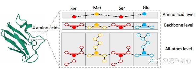论文笔记27|Learning hierarchical protein representations via complete 3d ...