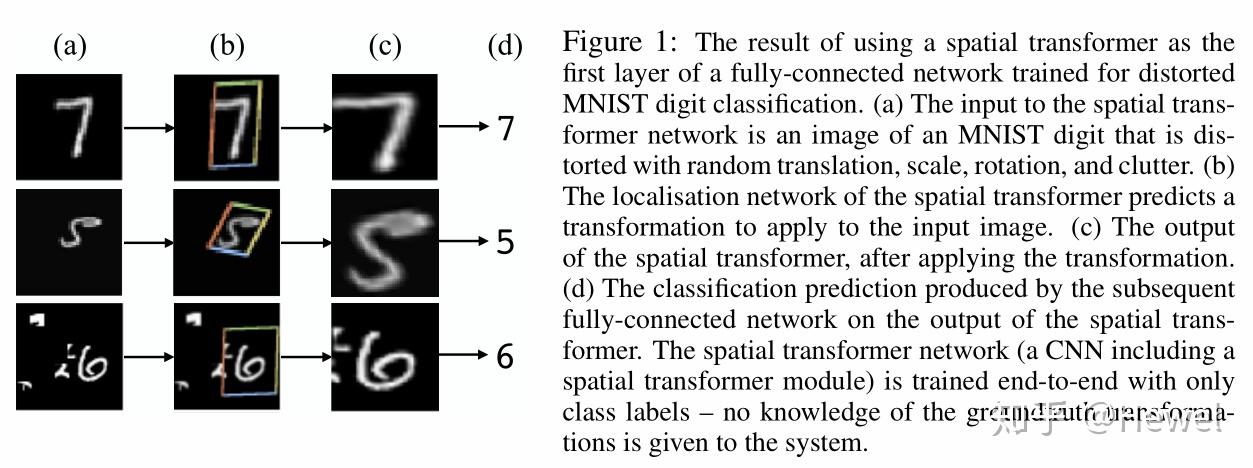 Spatial Transformer Networks解读 - 知乎