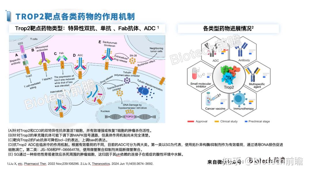 创新药巡礼丨科伦博泰Trop2 ADC已发表数据汇总及研究布局 - 知乎