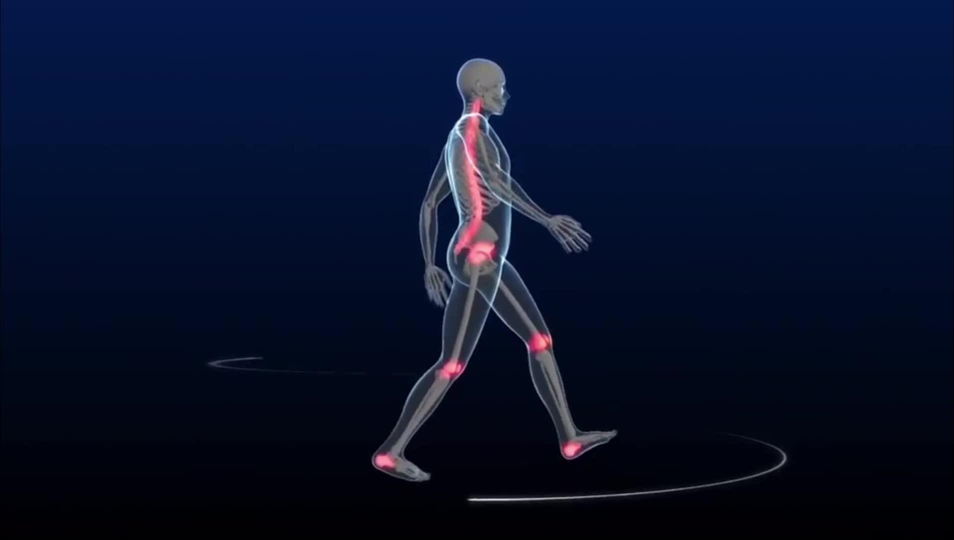 人体标准步态的特征视频展示 - 知乎